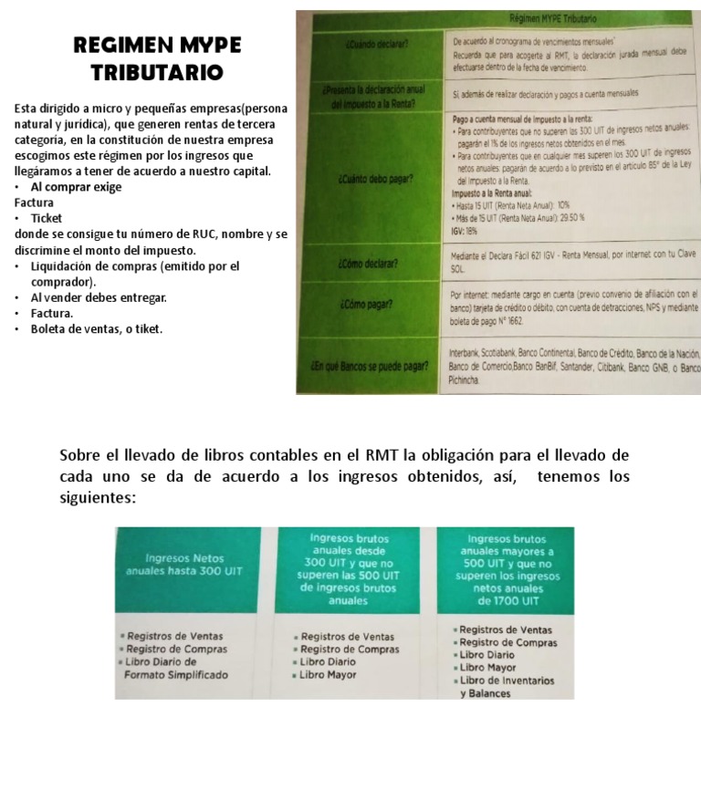 Regimen Mype Tributario | PDF
