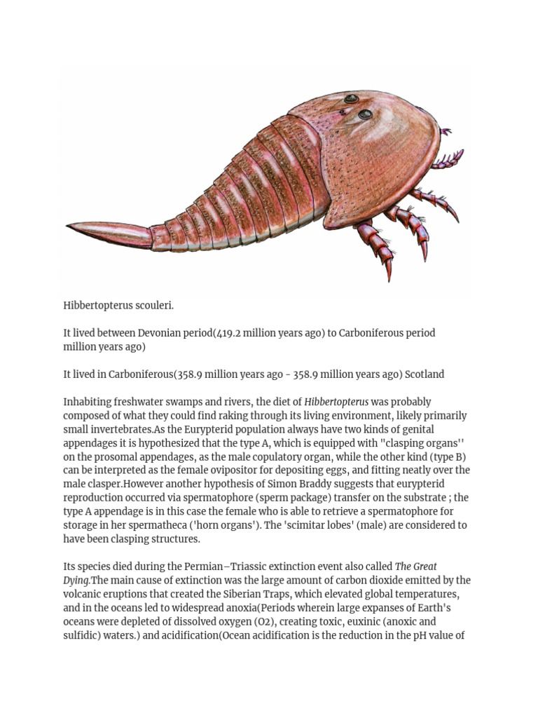 Hibbertopterus: Size and Extinction Insights | PDF | Earth Sciences ...