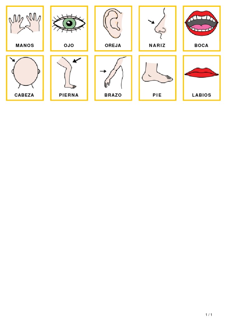 Boca Nariz Oreja OJO Manos | PDF
