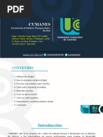CUMANES | PDF