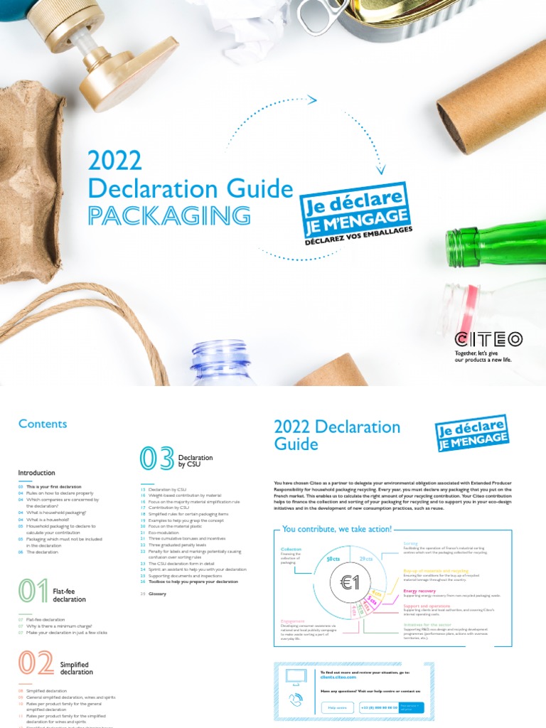 2022 Declaration Guide Packaging | PDF | Packaging And Labeling | Recycling