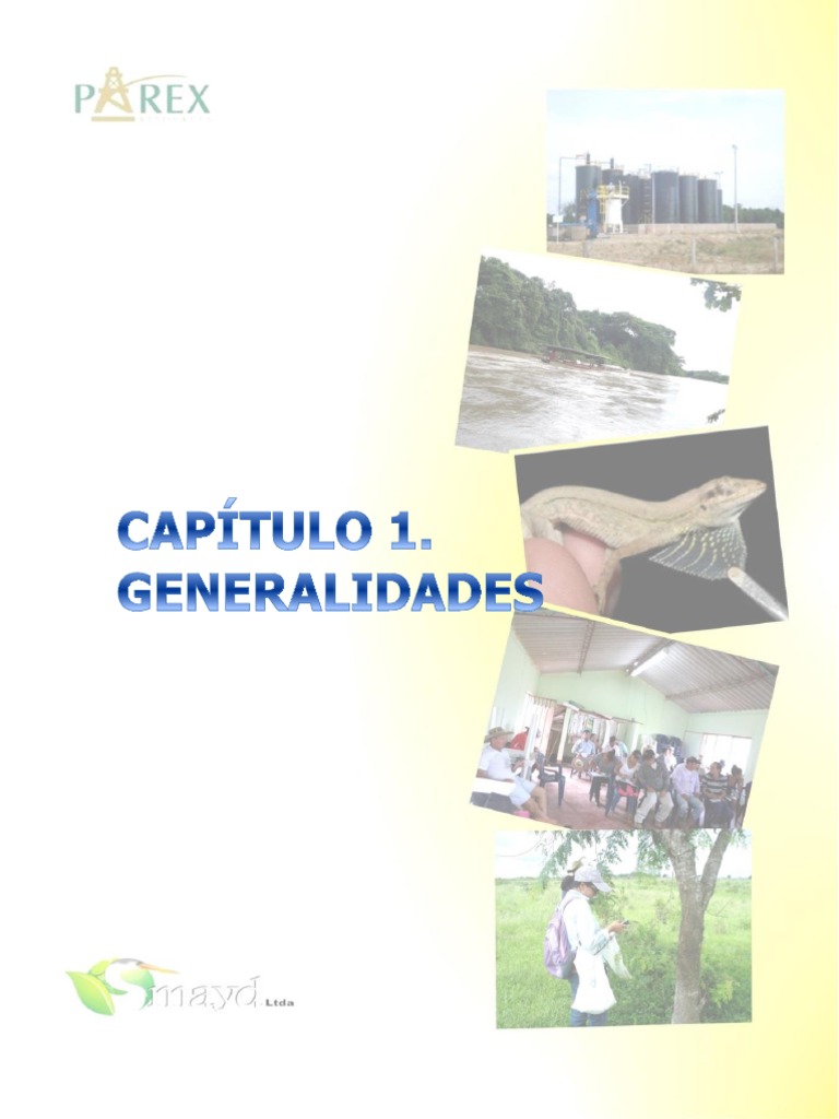 Capítulo 1. Generalidades | PDF | Evaluación de impacto ambiental | Entorno natural