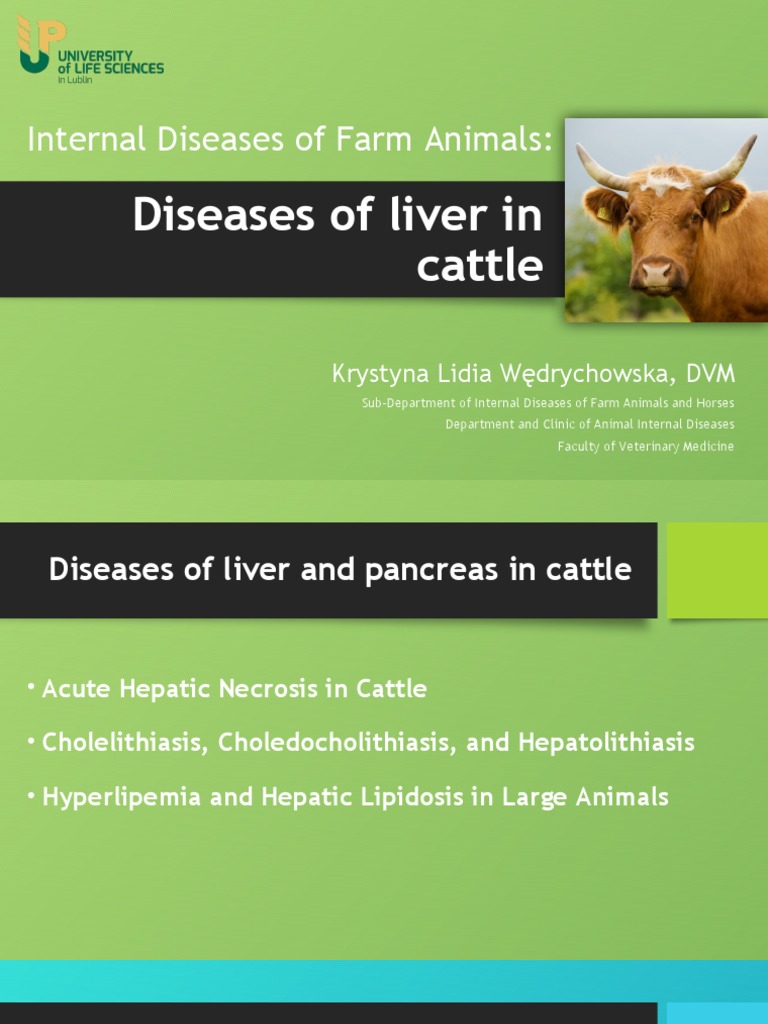 Cattle Liver Diseases Guide | PDF | Science & Mathematics | Technology ...