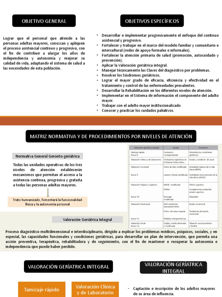 Protocolo Del Adulto Mayor | PDF | Vejez | Estreñimiento