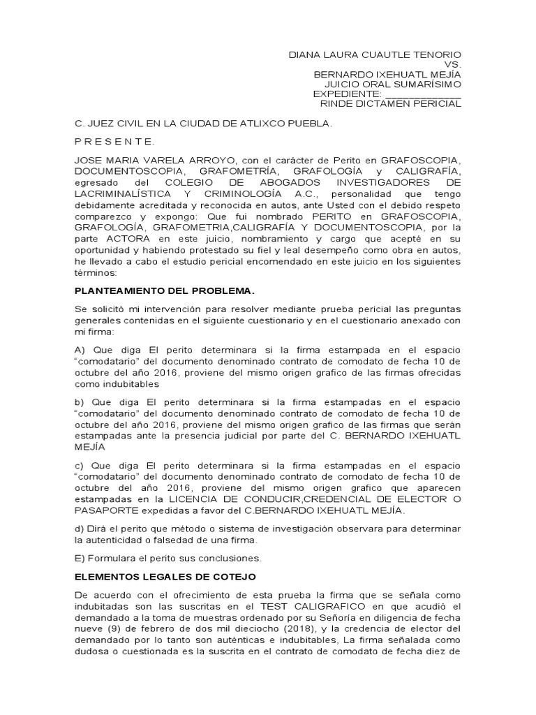 Dictamen de Peritaje | PDF | Testigo experto