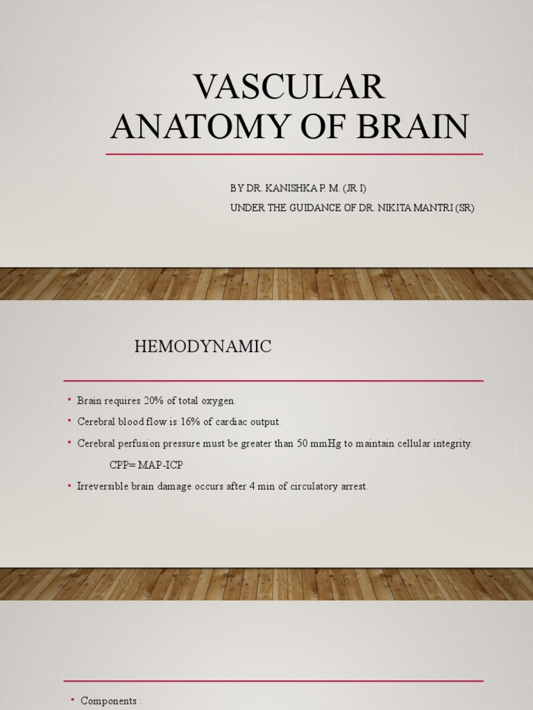 1 Vascular Anatomy of Brain | PDF | Medical Specialties | Human Head ...