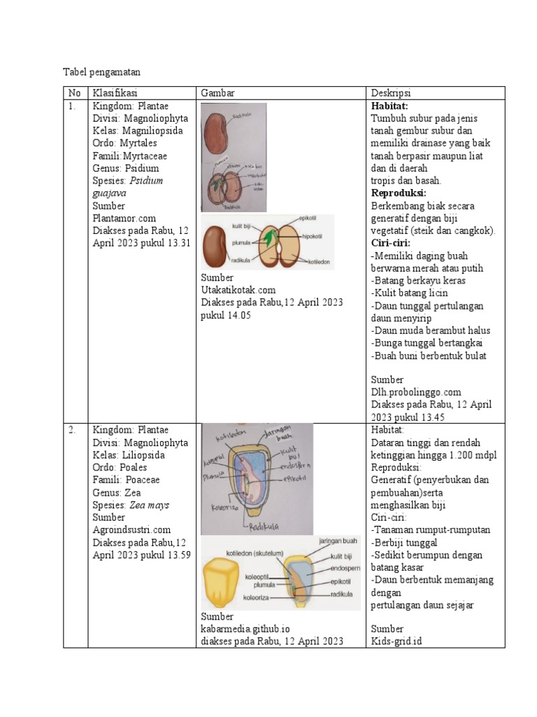 Tabel Pengamatan k5 | PDF