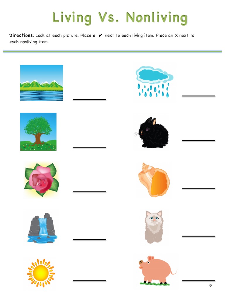 "Living or Nonliving" Worksheet | PDF