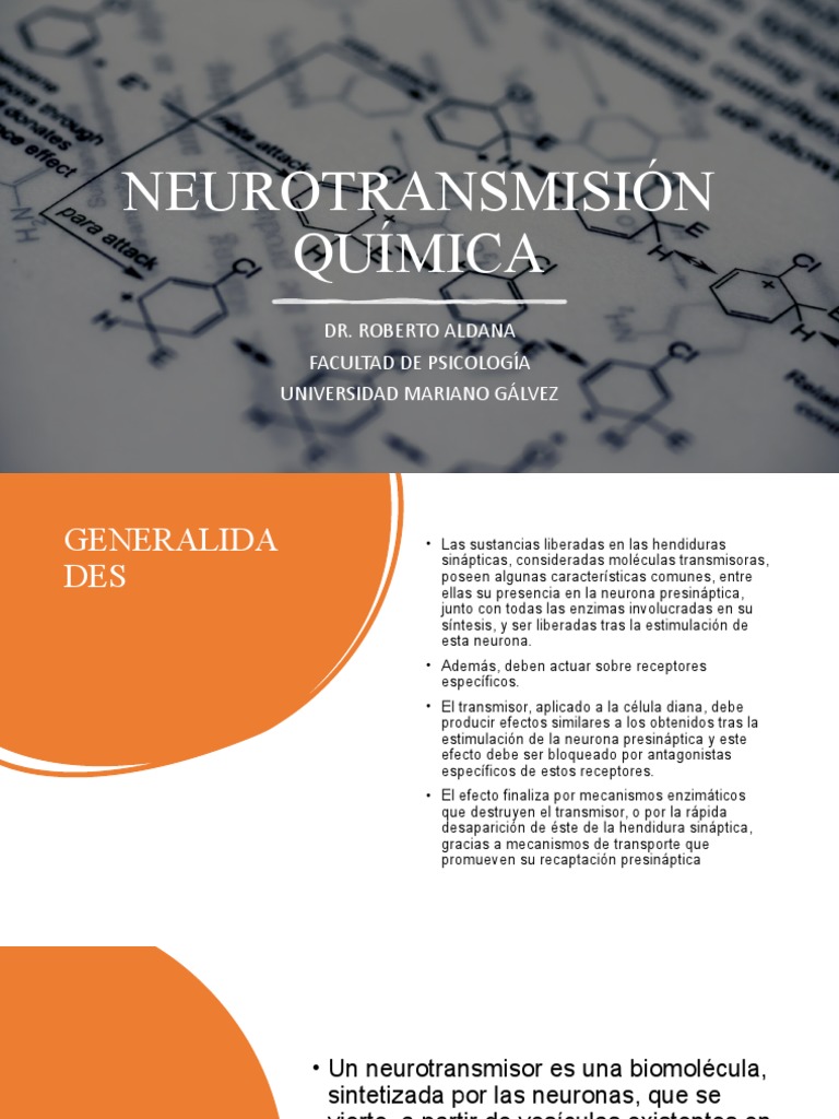 Neurotransmisión Química y Funciones | PDF | Sinapsis | Norepinefrina