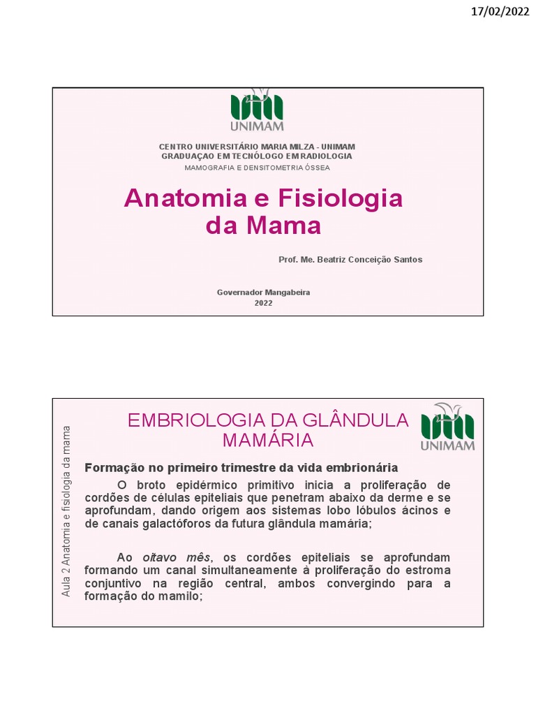 Aula 2 Anatomia e Fisiologia Da Mama PDF | Download grátis PDF | Seio ...