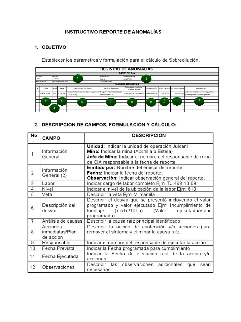 Instructivo Reporte de Anomalías | PDF