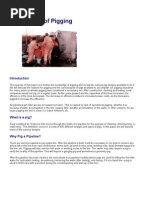 Procedures for Pigging Operations | Pipeline Transport | Visual Cortex