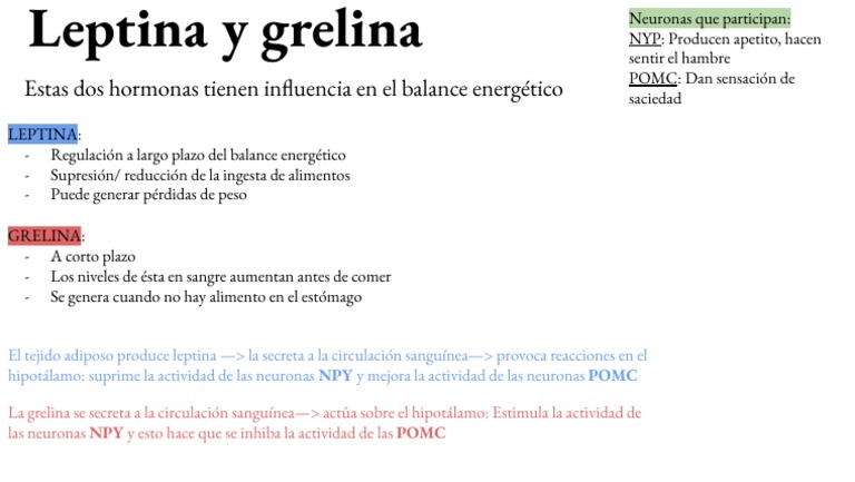 Leptina y Grelina | PDF