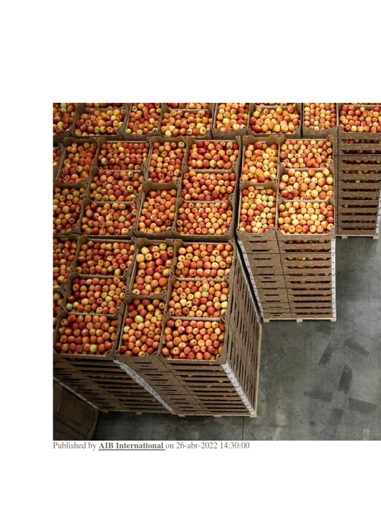 BRCGS Storage AIB | PDF | Alimentos | Auditoría