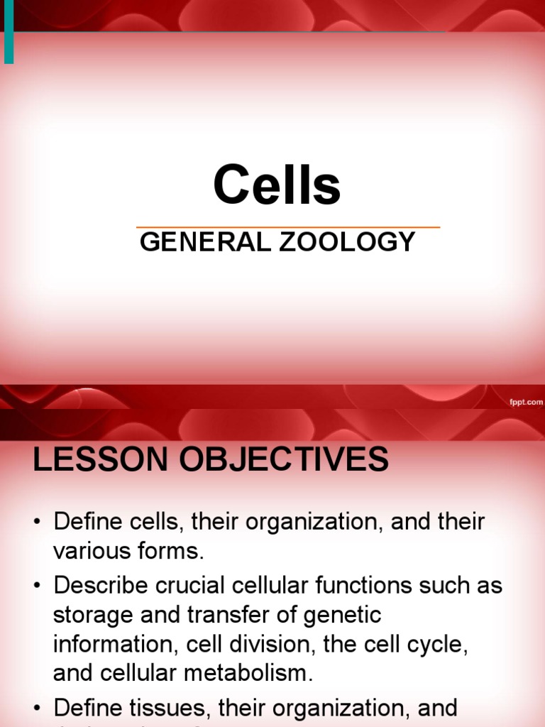 Cells: General Zoology | PDF | Cell (Biology) | Endoplasmic Reticulum