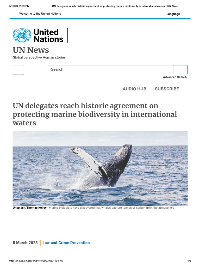 Un High Seas Treaty | PDF | United Nations Convention On The Law Of The ...