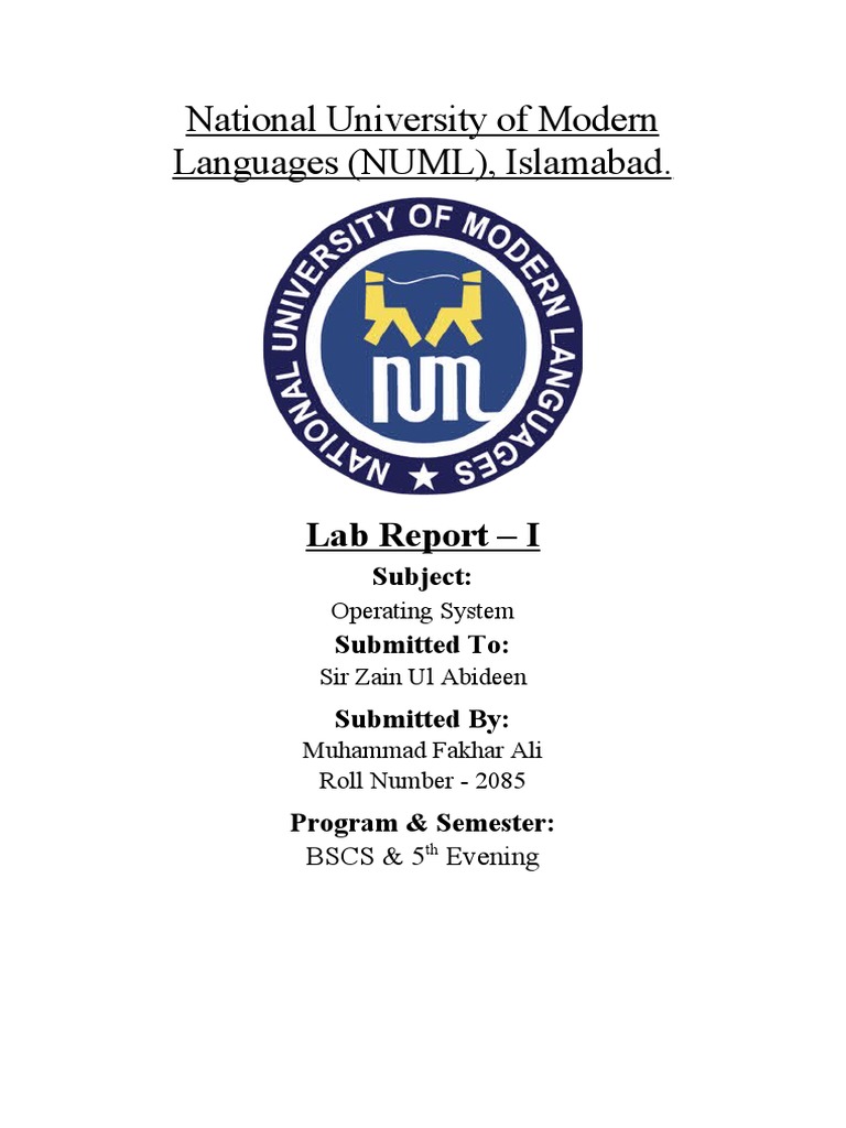 Lab Report - 1 - OS | PDF