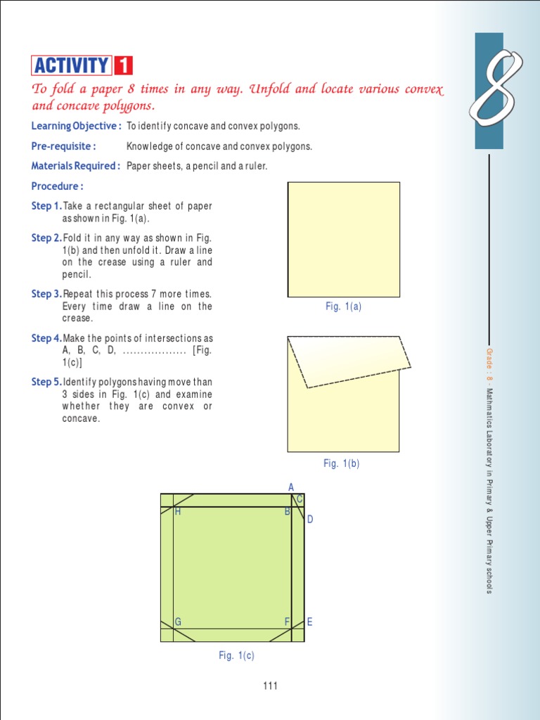 CBSE Class 8 Maths Activity 1 | PDF | Polygon | Euclidean Geometry