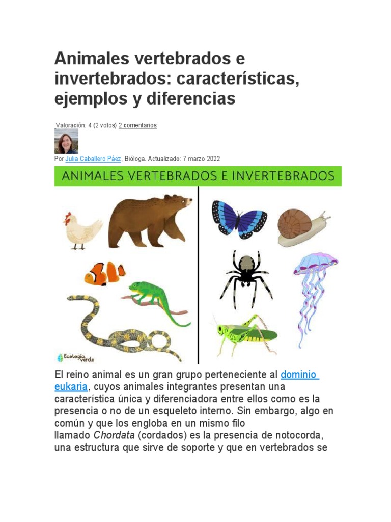 Animales Vertebrados e Invertebrados: Características, Ejemplos y ...