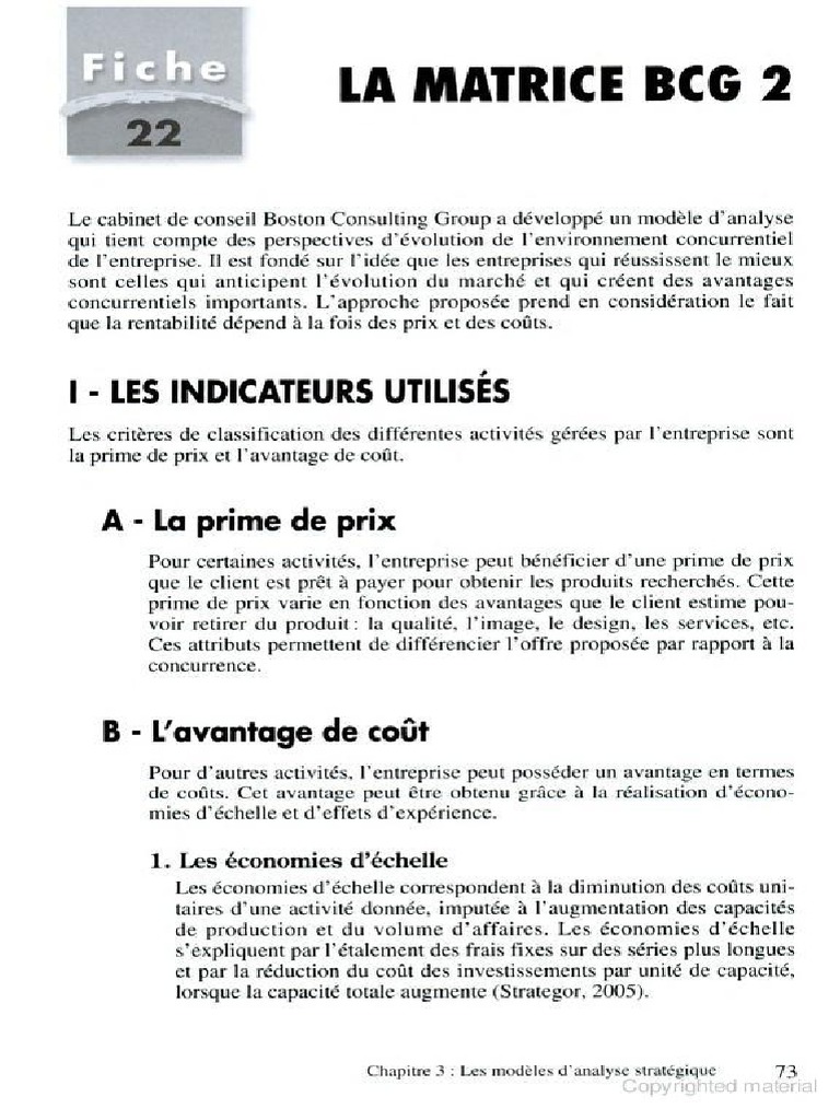 02 Thème 1 (05) Matrice BCG II | PDF