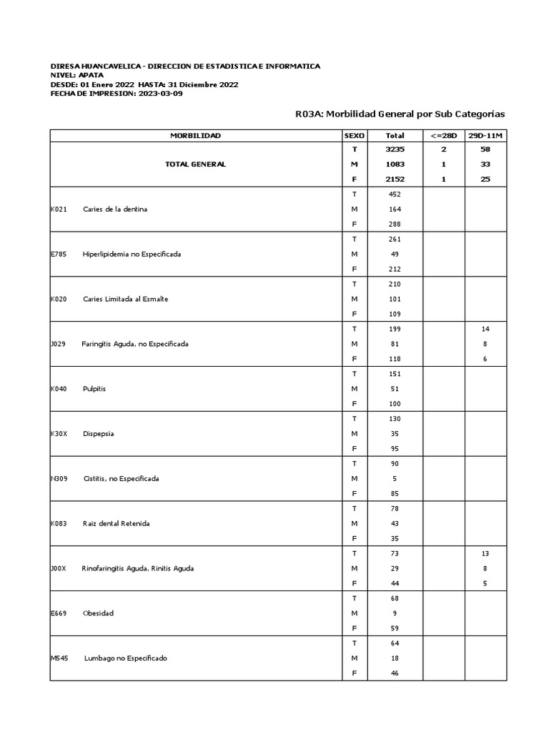 R03A: Morbilidad General Por Sub Categorías Del CIE 10 - Por Grupo ...