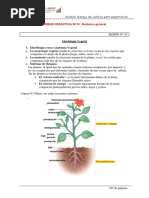 Generalidades de Las Plantas | PDF