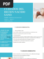 Areas, Organizacion y Funcionamiento de La Ucin | PDF | Hospital ...