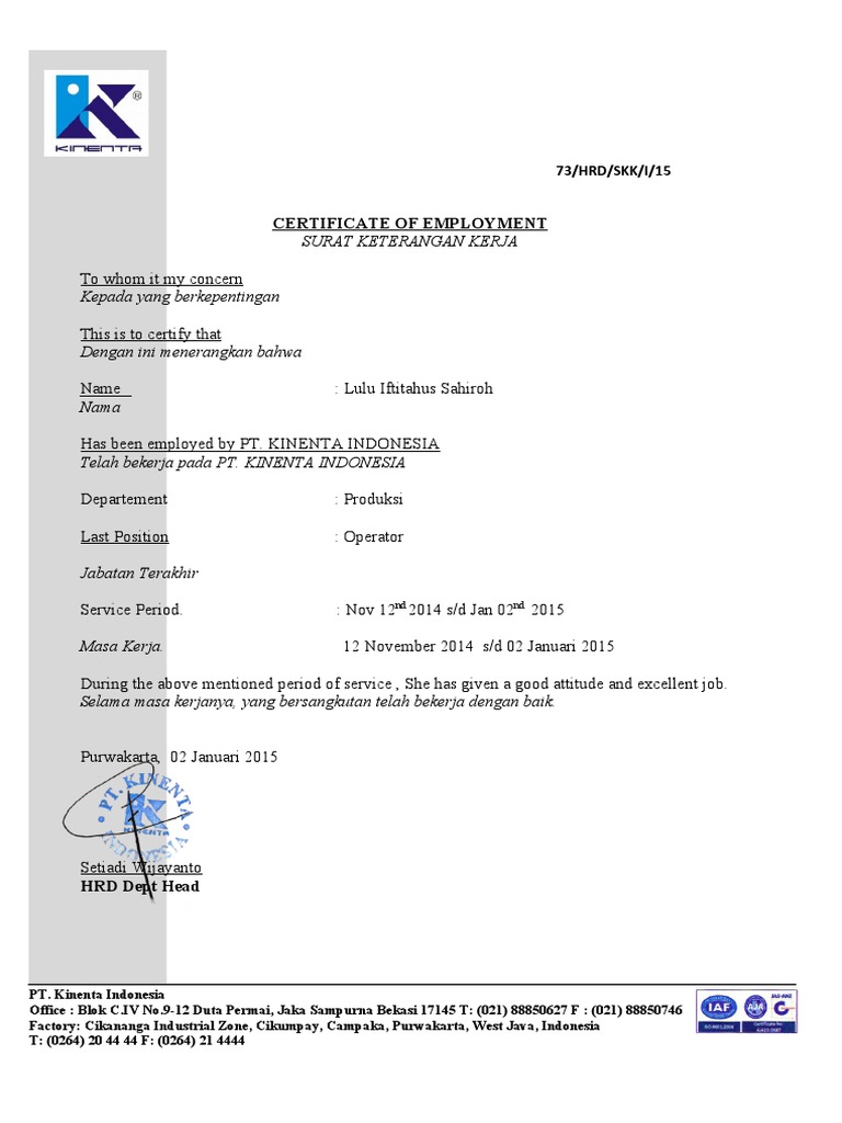 Kinenta Indonesia Lulu If | PDF | Karier & Perkembangan | Bisnis