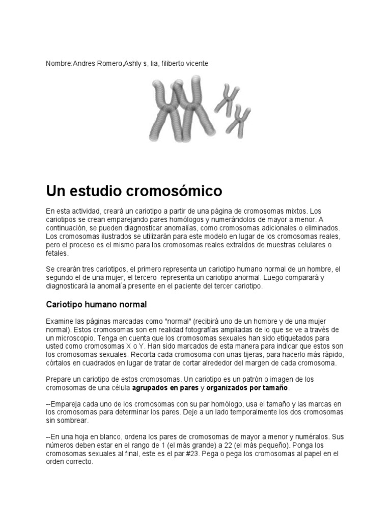 Un Estudio Cromosomico | PDF | Cariotipo | Cromosoma