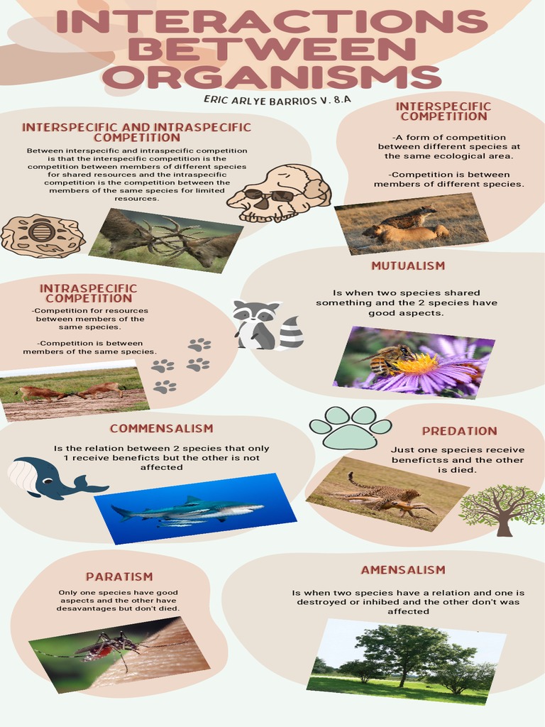 Infografia Science | PDF