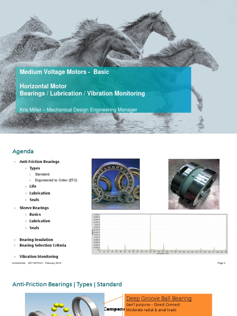 4.horizontal Motor Bearings - Lubrication - Vibration Monitoring-Miller | PDF | Bearing ...