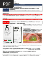 Protocolo Hints | PDF | Neuroimagen | Vértigo