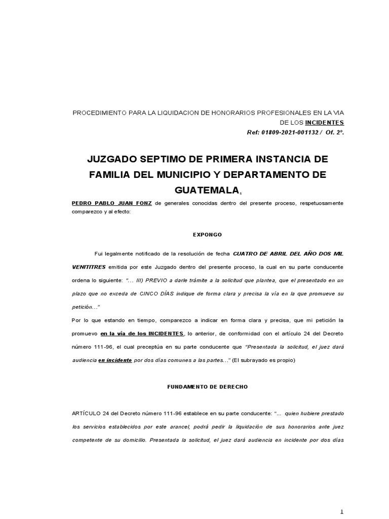 Memorial Subsanado Previo | PDF | Liquidación | Gobierno