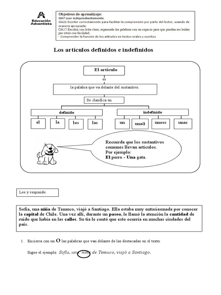 Los Artículos Definidos e Indefinidos | PDF