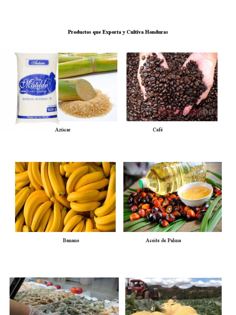 Productos Que Exporta y Cultiva Honduras | PDF