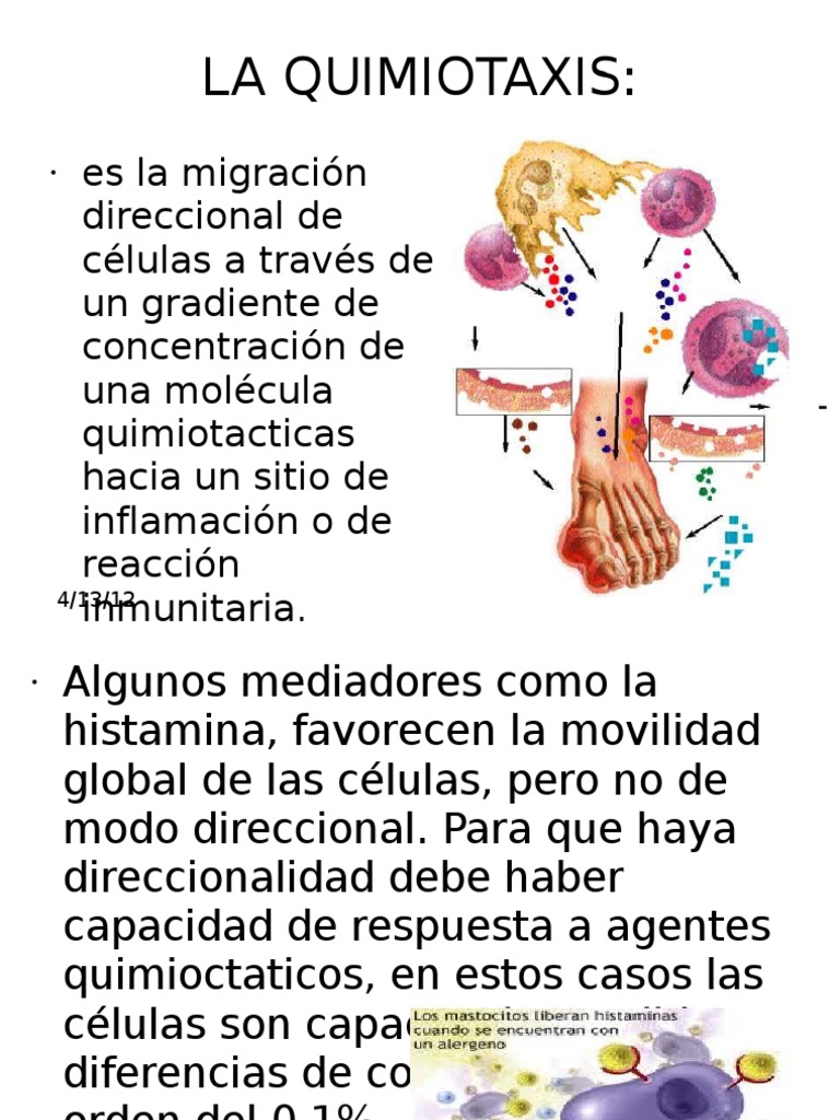 Quimiotaxis: Migración Celular y Función | PDF | Quimiotaxis | Quimiocina