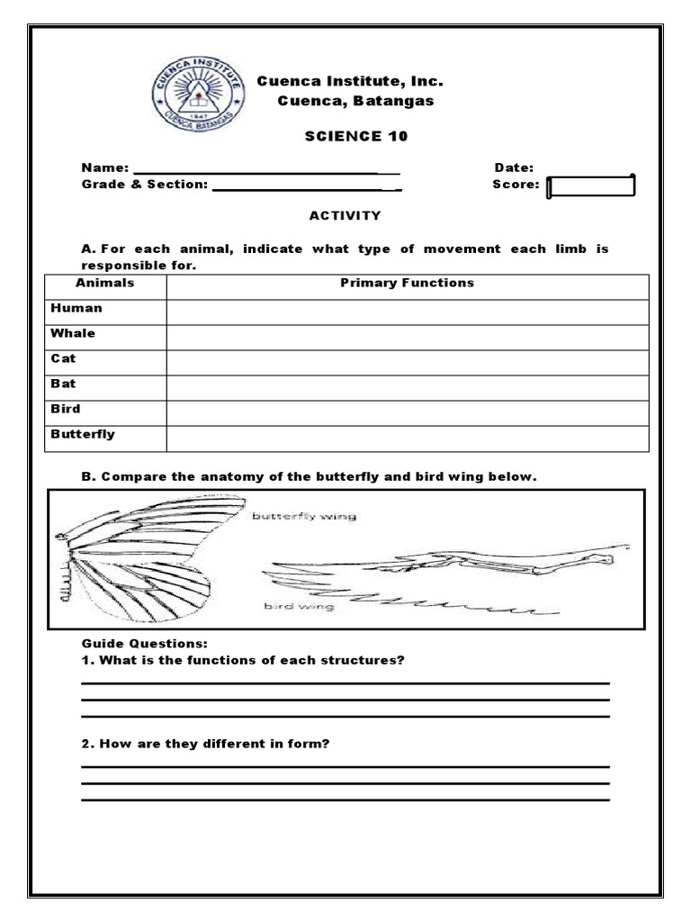 G10 Evidences of Evolution Activity | PDF