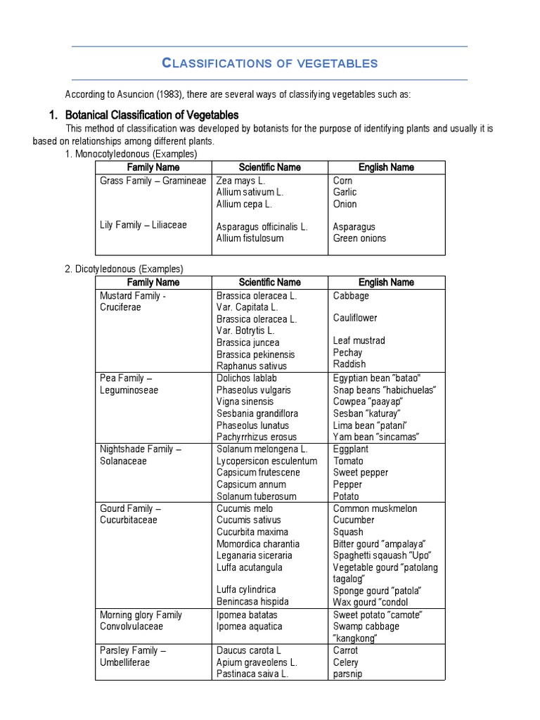 Vegetable Classification Guide | PDF | Vegetables | Cabbage