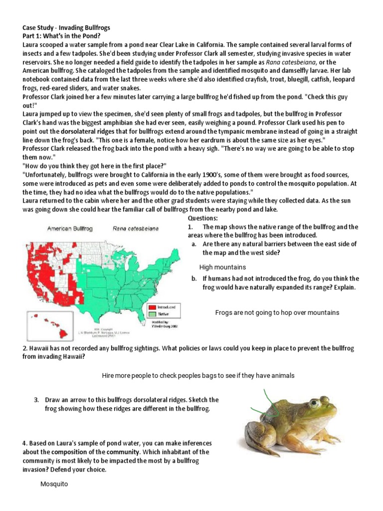 Invasive Bullfrogs: A Case Study | PDF | Frog | Amphibian
