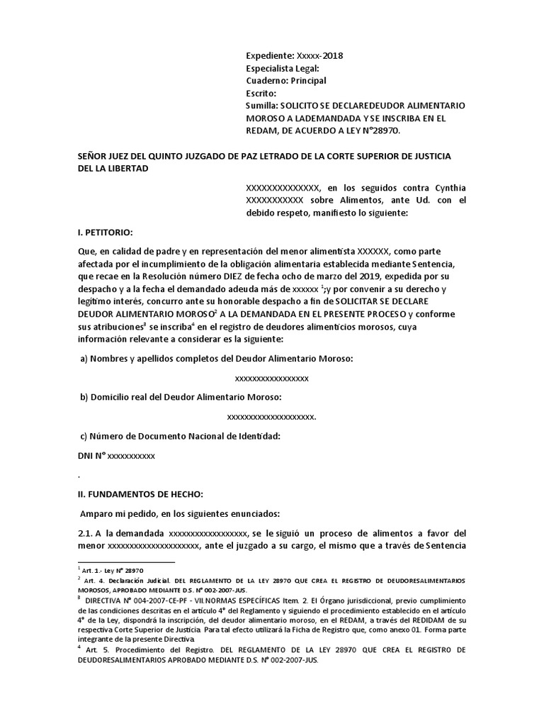 Inscripcion Registro de Deudores Alimentarios Morosos REDAM | PDF | Pensión alimenticia ...