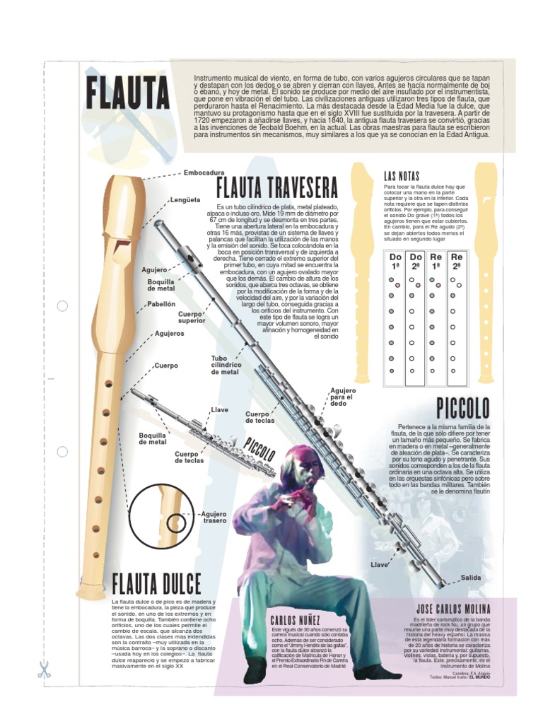 Aprenda A Tocar Flauta | PDF