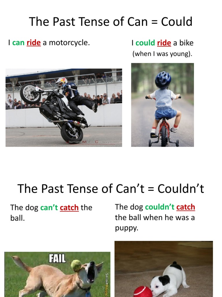 The Past Tense of Can Could: A Motorcycle. A Bike | PDF | Modal Logic ...