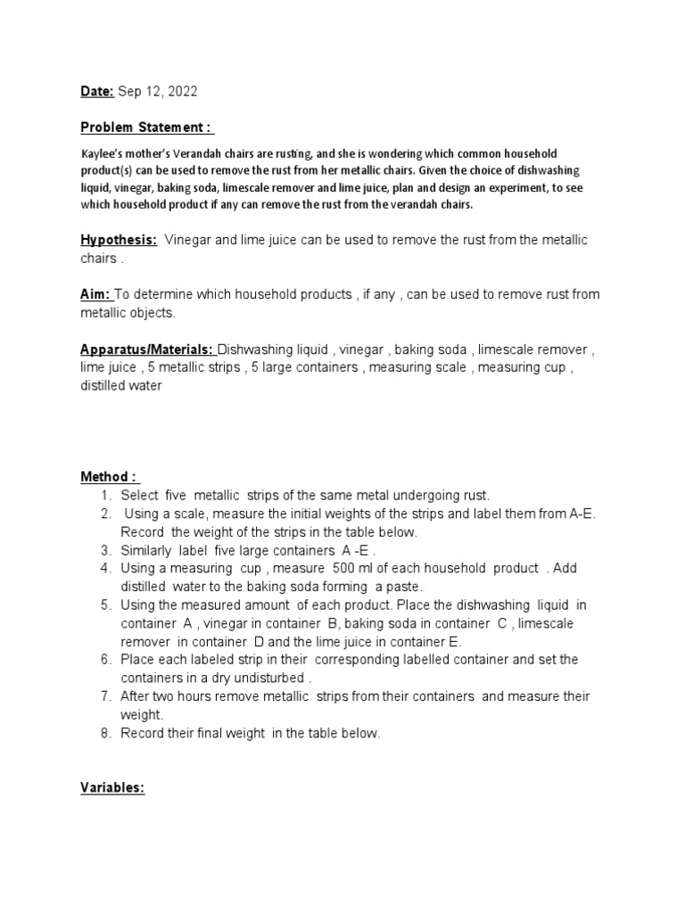 Planning and Designing Laboratory 1 - Chemistry D | PDF | Rust | Metals