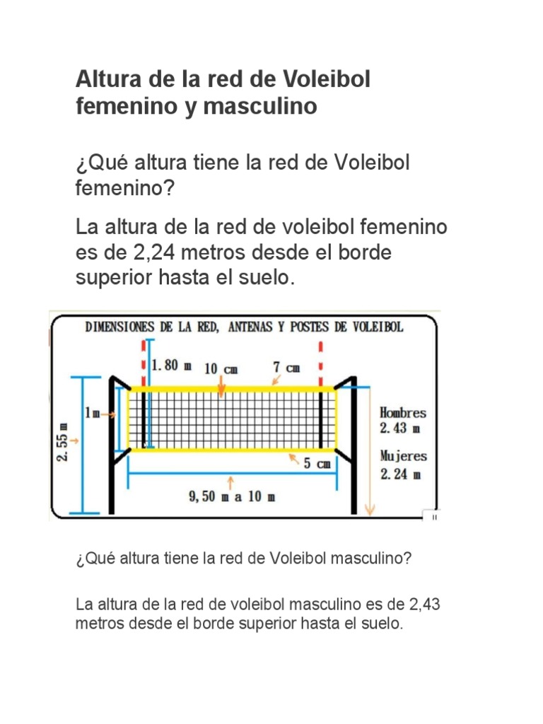 Altura de La Red de Voleibol Femenino y Masculino | PDF | Vóleibol ...