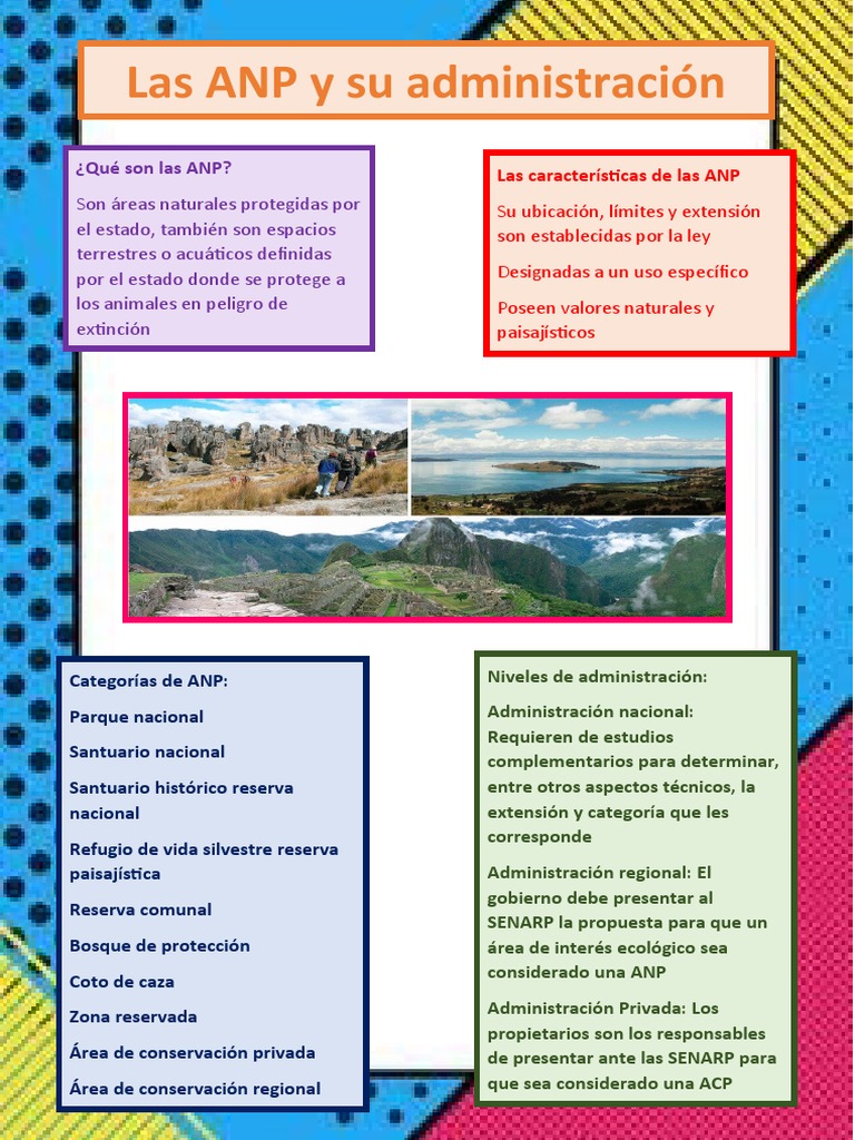 Niveles y Tipos de ANP en Perú | PDF
