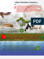 Cocodrilo Molde | PDF