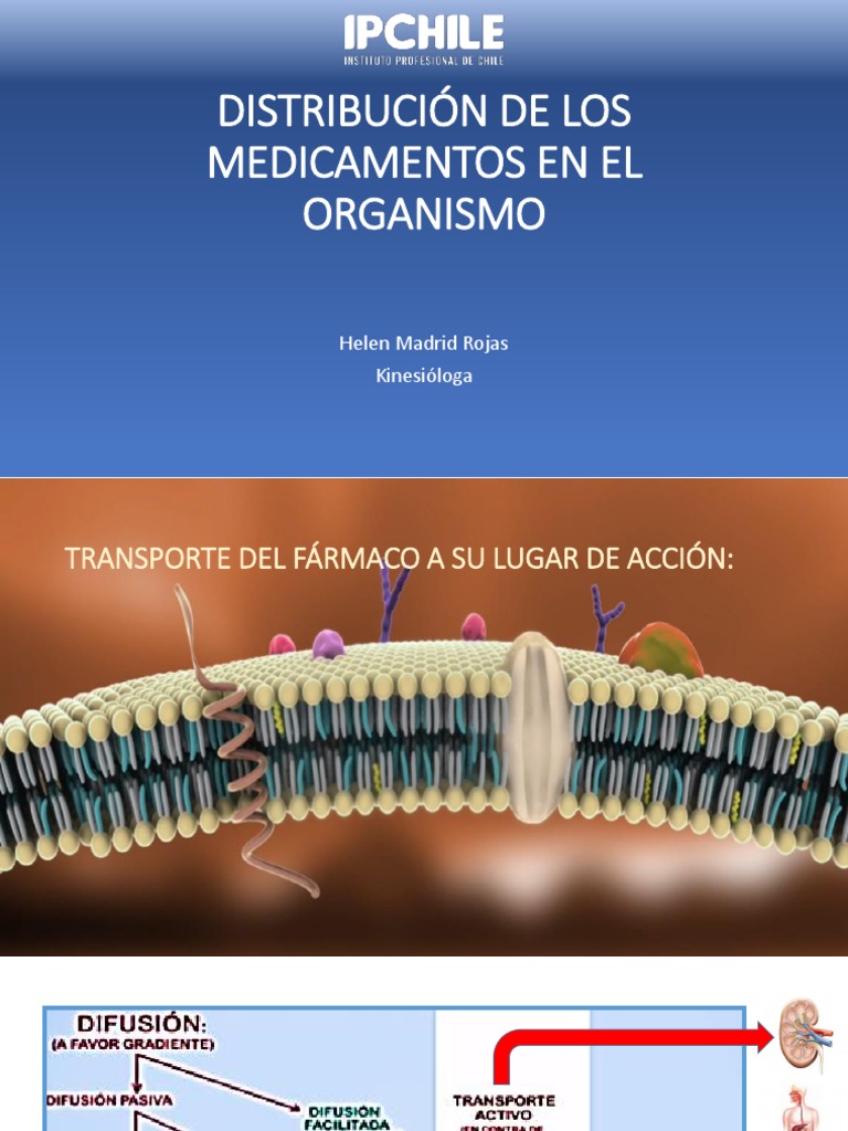 Farmacocinética y Distribución de Fármacos | PDF | Farmacocinética ...