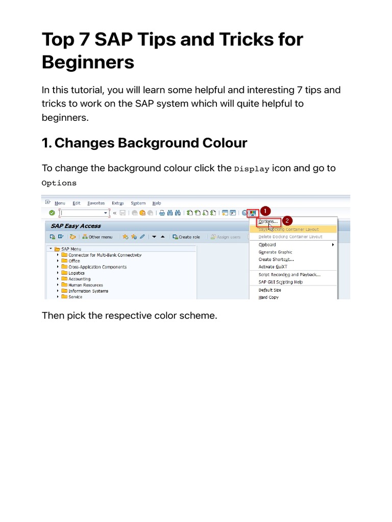 Top 7 SAP Tips and Tricks For - Beginners | PDF | Software | Operating ...