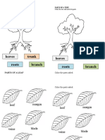 Parts of A Tree Worksheet | PDF