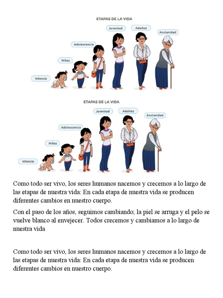 Etapas de la Vida Humana y Cambios | PDF
